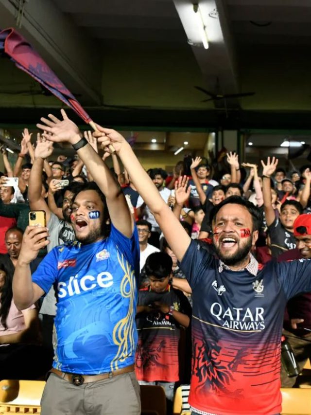 IPL 2025 Fever: The Hype is Real! - Stories